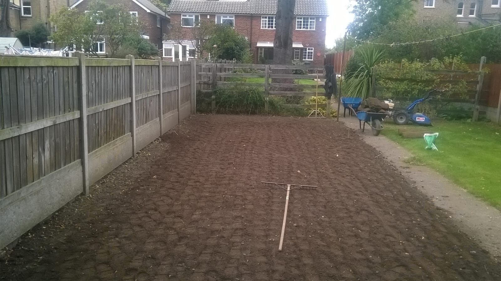 LONDON - Residential - Gallery | London Lawn Turf Company