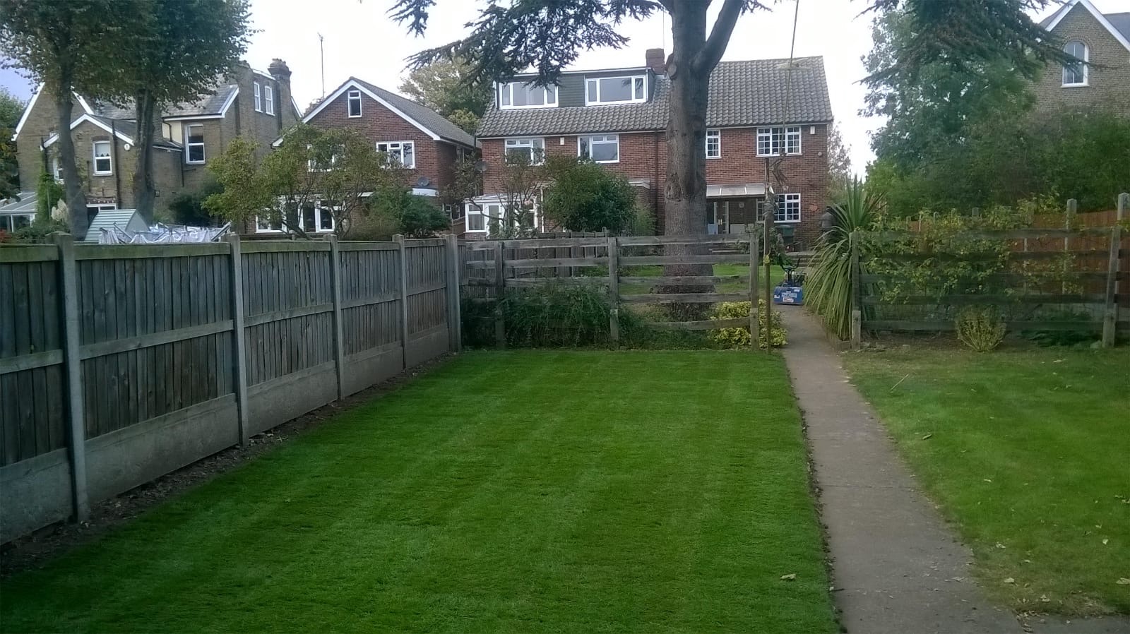 LONDON - Residential - Gallery | London Lawn Turf Company