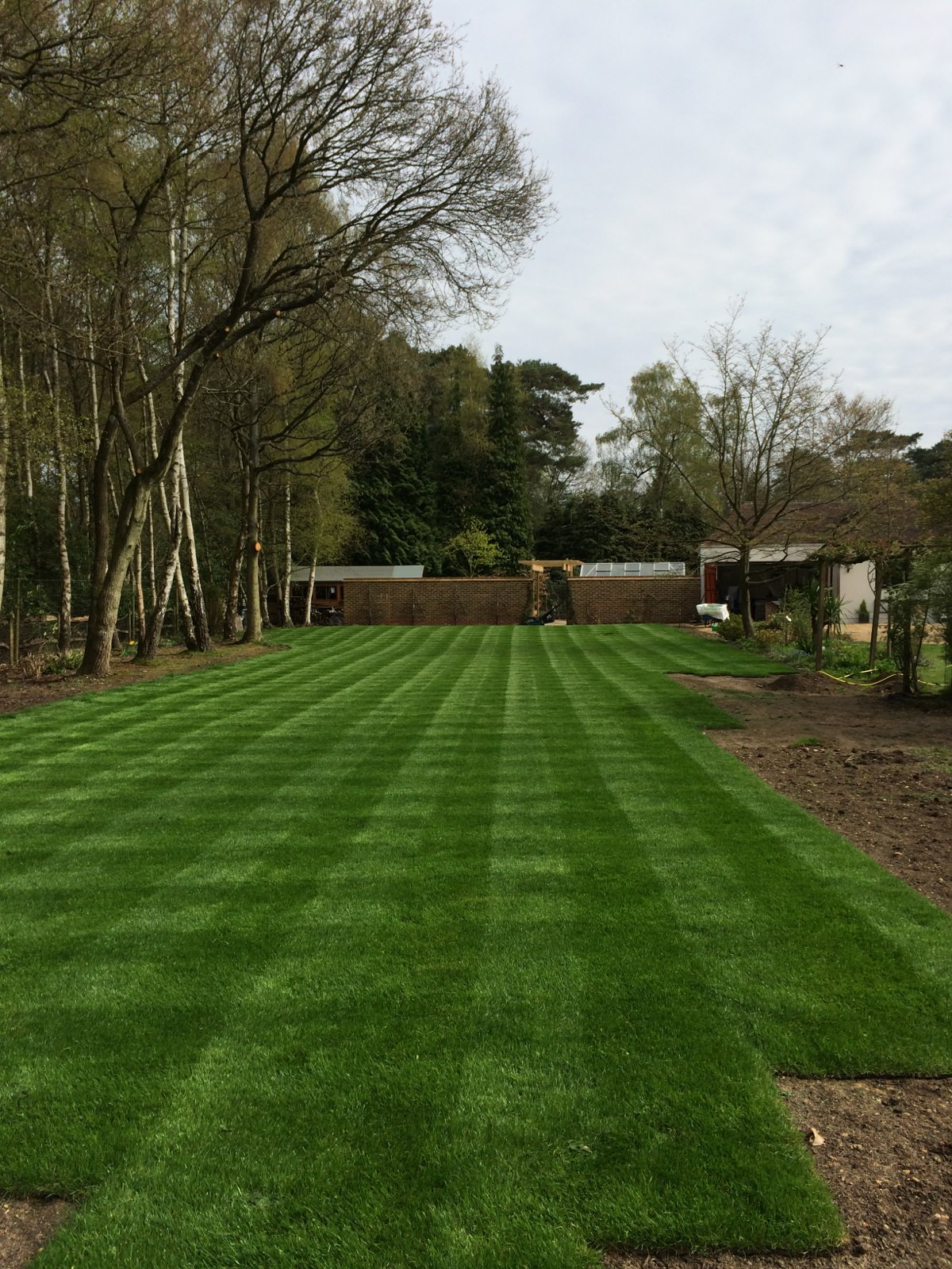 Residential - Gallery | London Lawn Turf Company