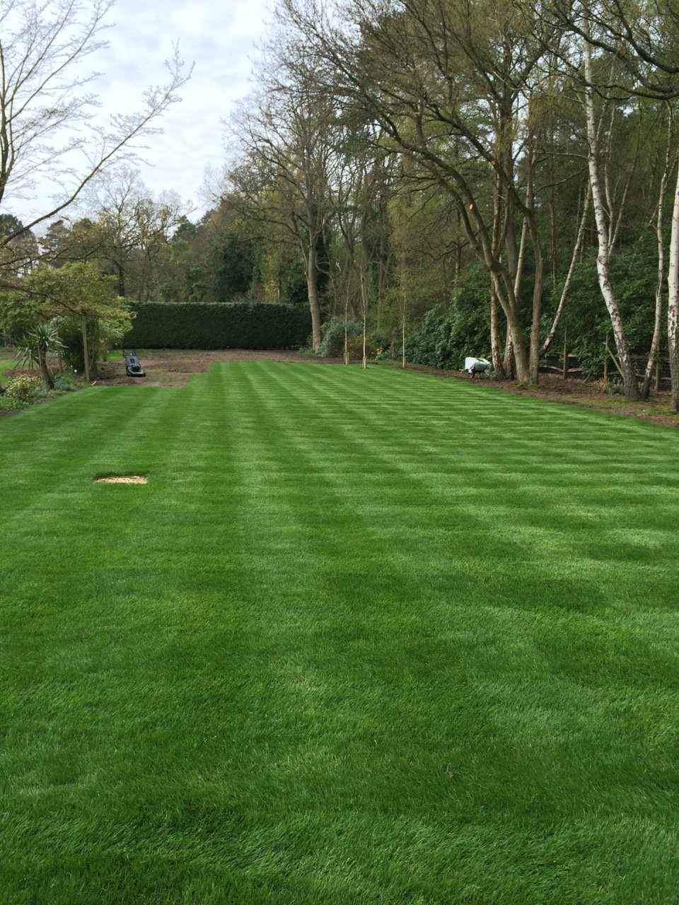 Residential - Gallery | London Lawn Turf Company