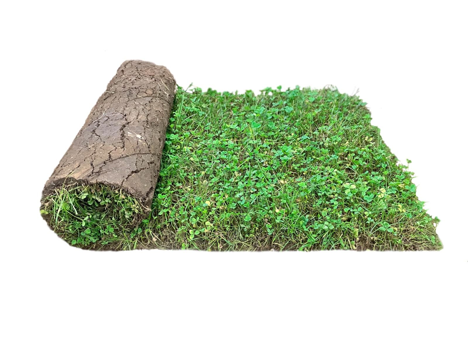 Turf & Topsoil Suppliers London. Next Day Delivery | London Lawn Turf ...