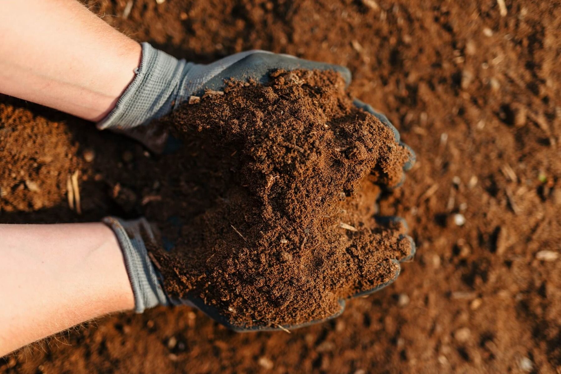 Turf & Topsoil Suppliers London. Next Day Delivery | London Lawn Turf ...