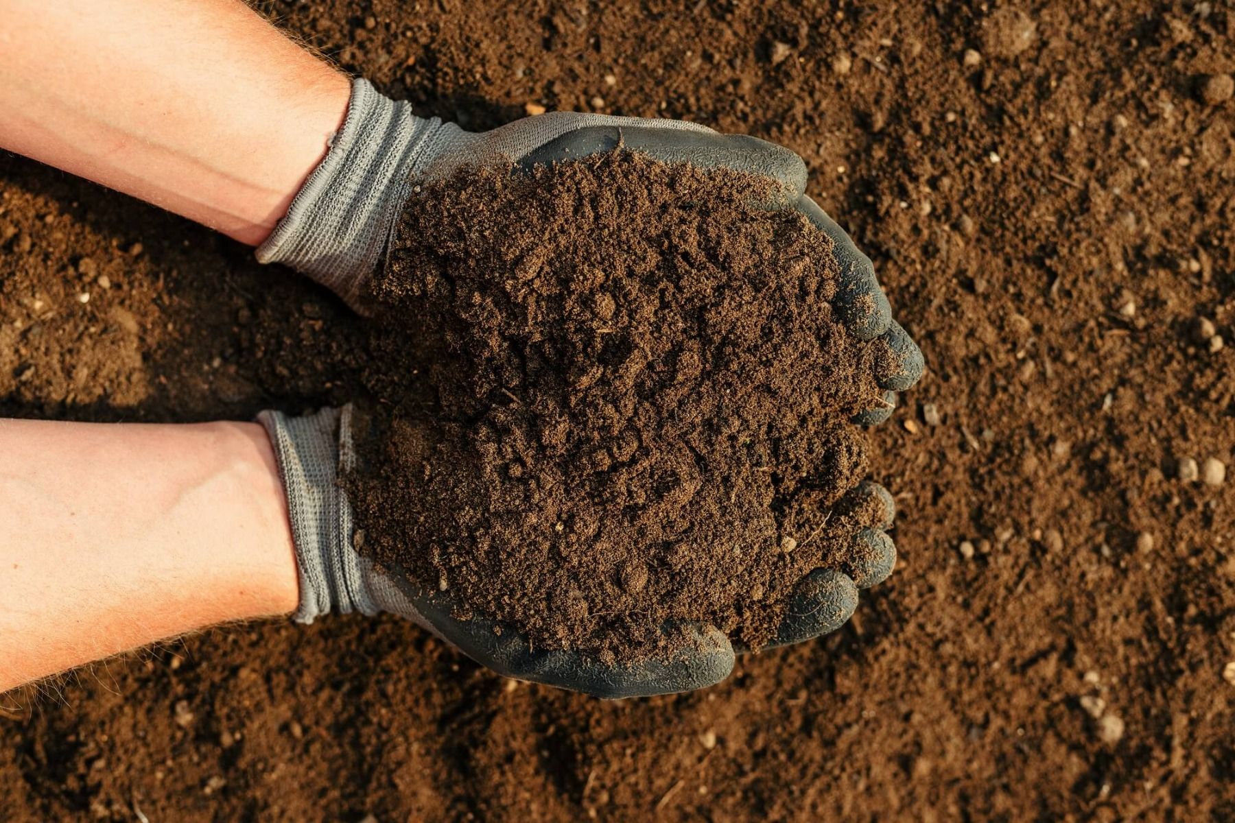 Bulk Loose Topsoil 13m3 - London Lawn Turf | London Lawn Turf Company