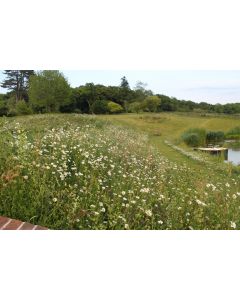 Buy Lawn Turf Online | London Lawn Turf Company