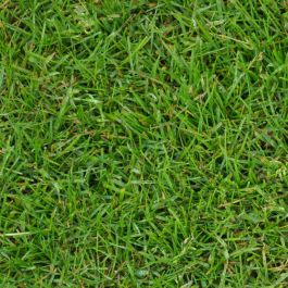 London Premium Turf | London Lawn Turf Company