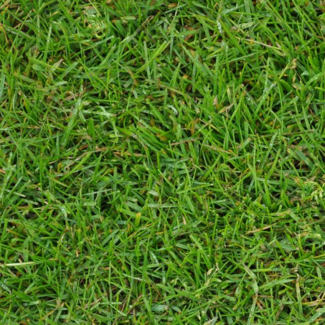 Clover Lawn Eco Turf | London Lawn Turf Company