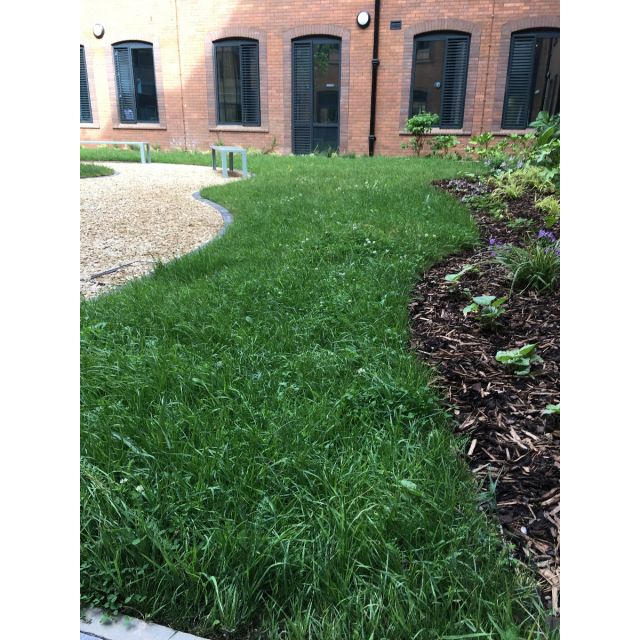 Wildflower Landscape Turf | London Lawn Turf Company