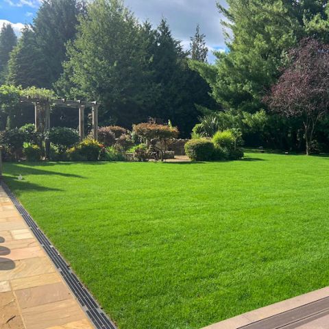 Buy Lawn Turf Online | London Lawn Turf Company