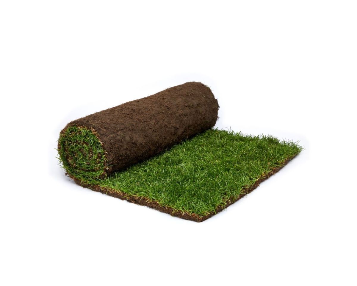 Rolawn Medallion Turf | London Lawn Turf Company