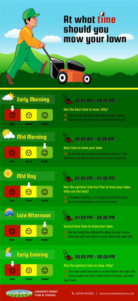 Best time to mow your lawn - Infographic | London Lawn Turf Company