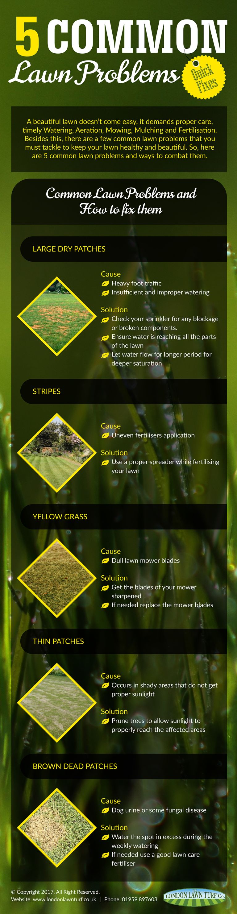 5 common Lawn Problems (Infographic) - London Turf Blog | London Lawn ...