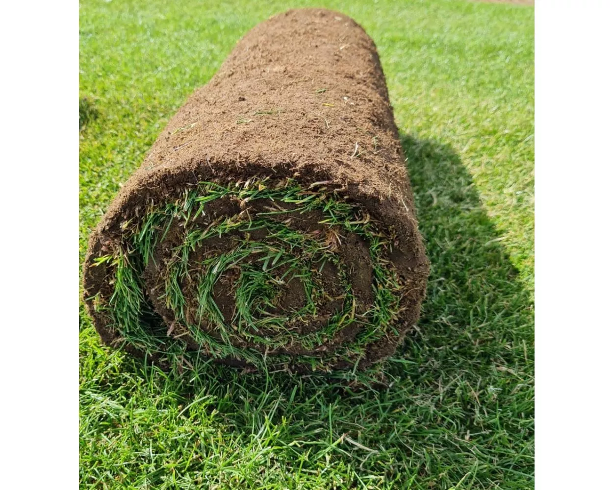 Turf grass rolls store