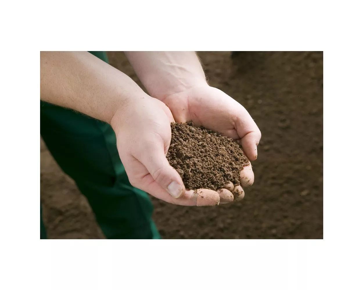 Turf Lawn Seeding Topsoil 0.5m