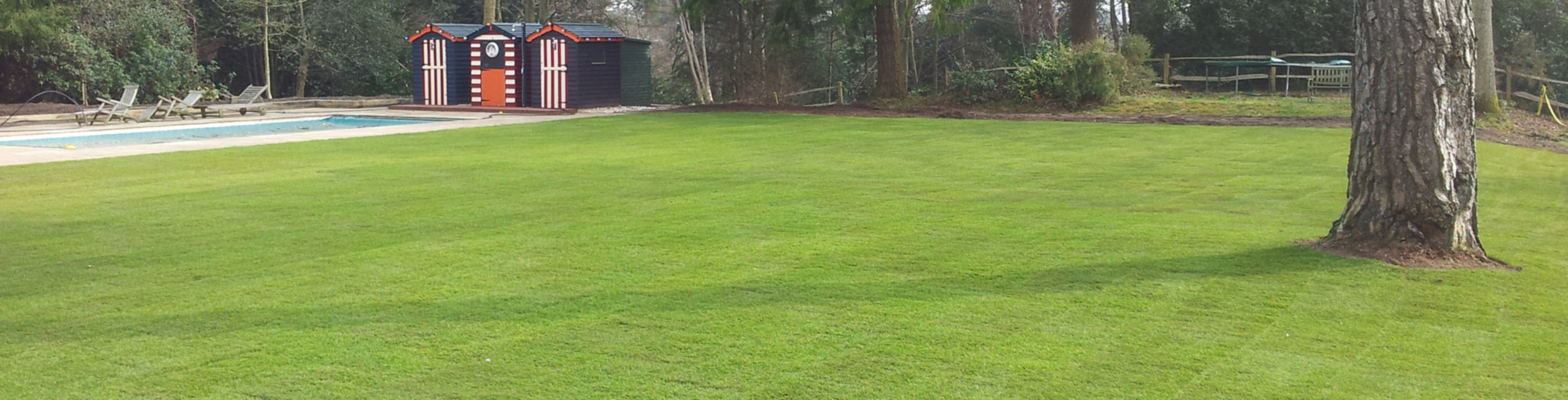 Turf & Topsoil Suppliers London. Next Day Delivery | London Lawn Turf ...