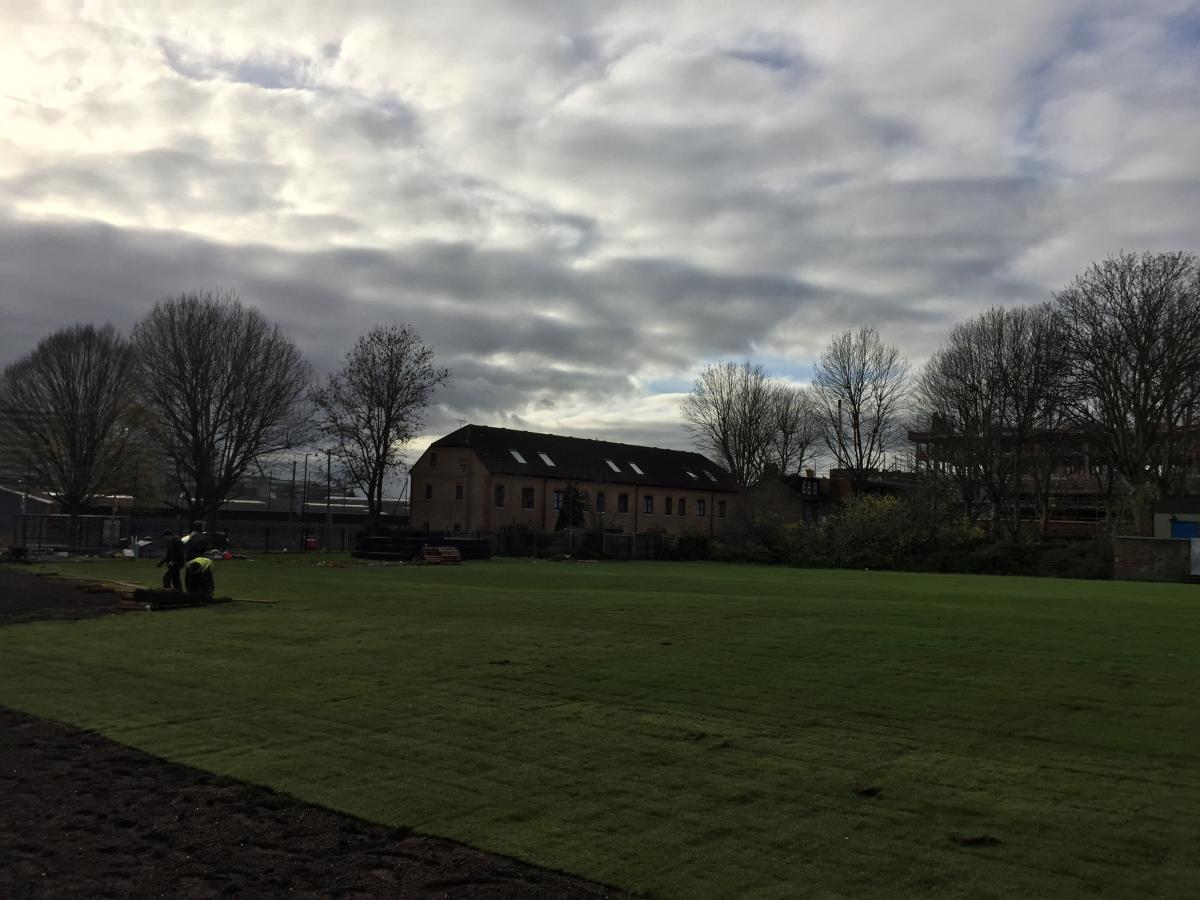 Turf laying in spring/summer: things to consider | London Turf Blog ...
