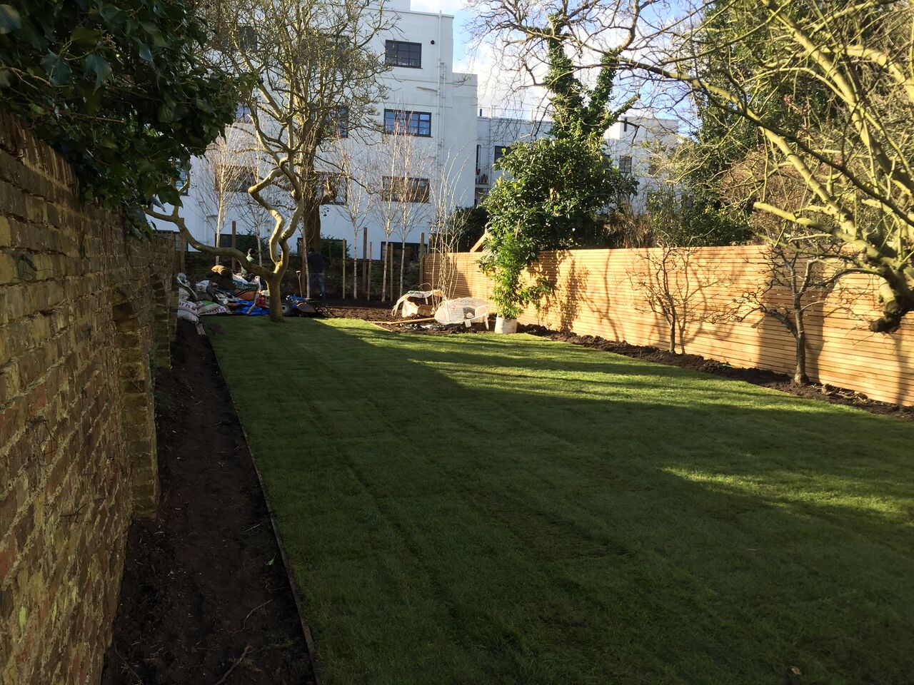 Case Studies | Wentworth | The London Lawn Turf Company | London Lawn ...